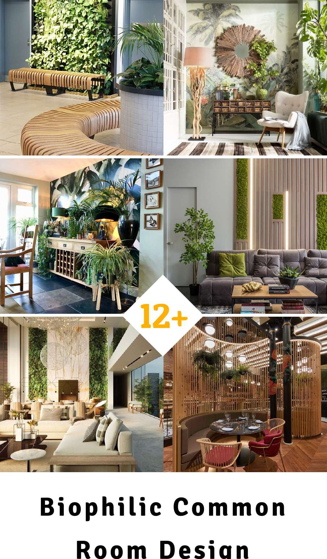 12+ Biophilic Common Room Design You Will Love